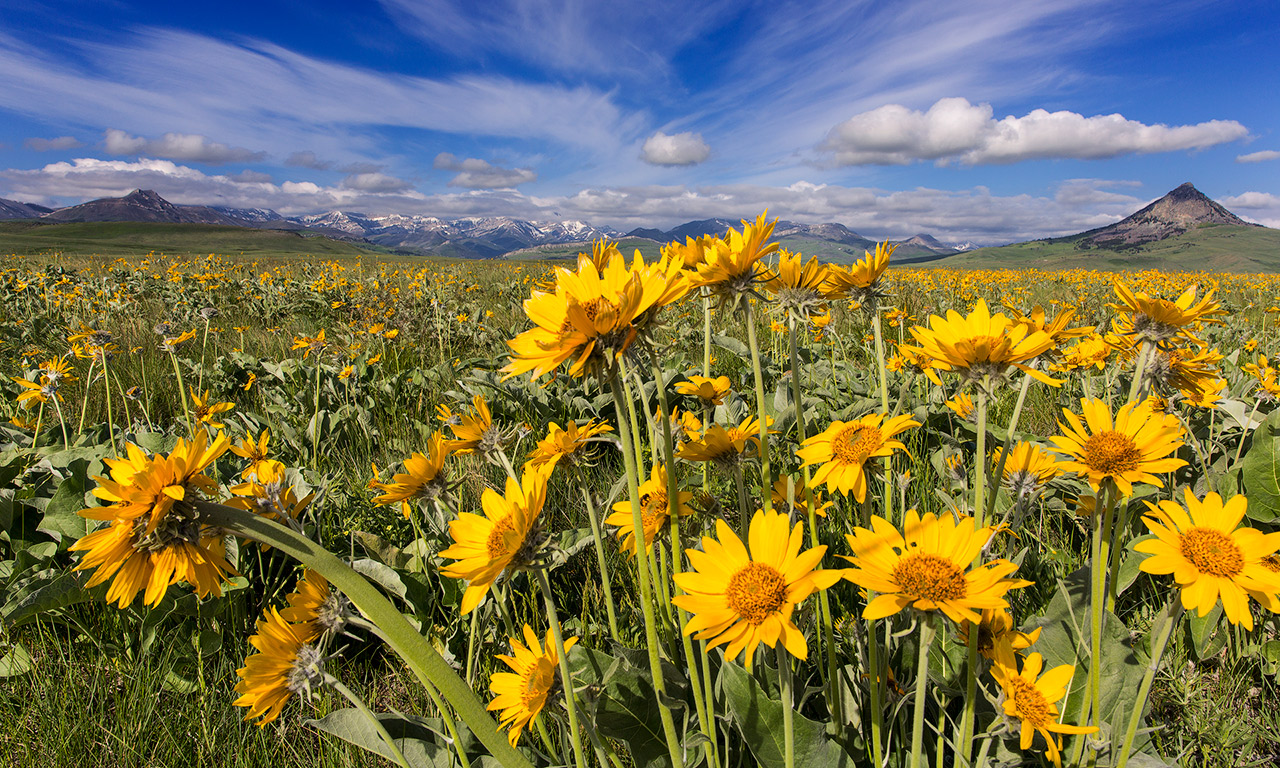 Front Range – © Chuck Haney | Chuck Haney Photography