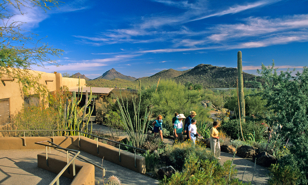 Arizona Sonora Desert Museum © Chuck Haney | Chuck Haney Photography