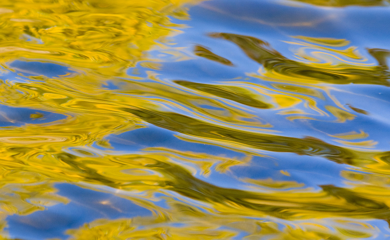 Two Medicine Reflect | Chuck Haney Photography