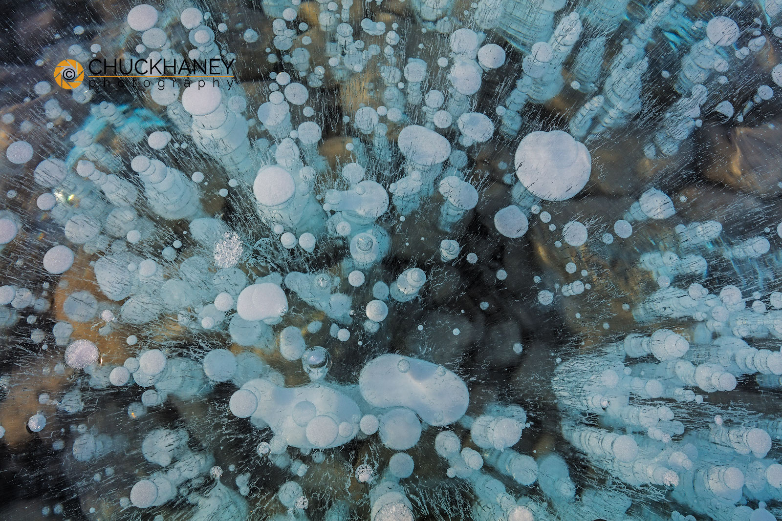 Winter in Banff National Park - Chuck Haney Outdoor Photography