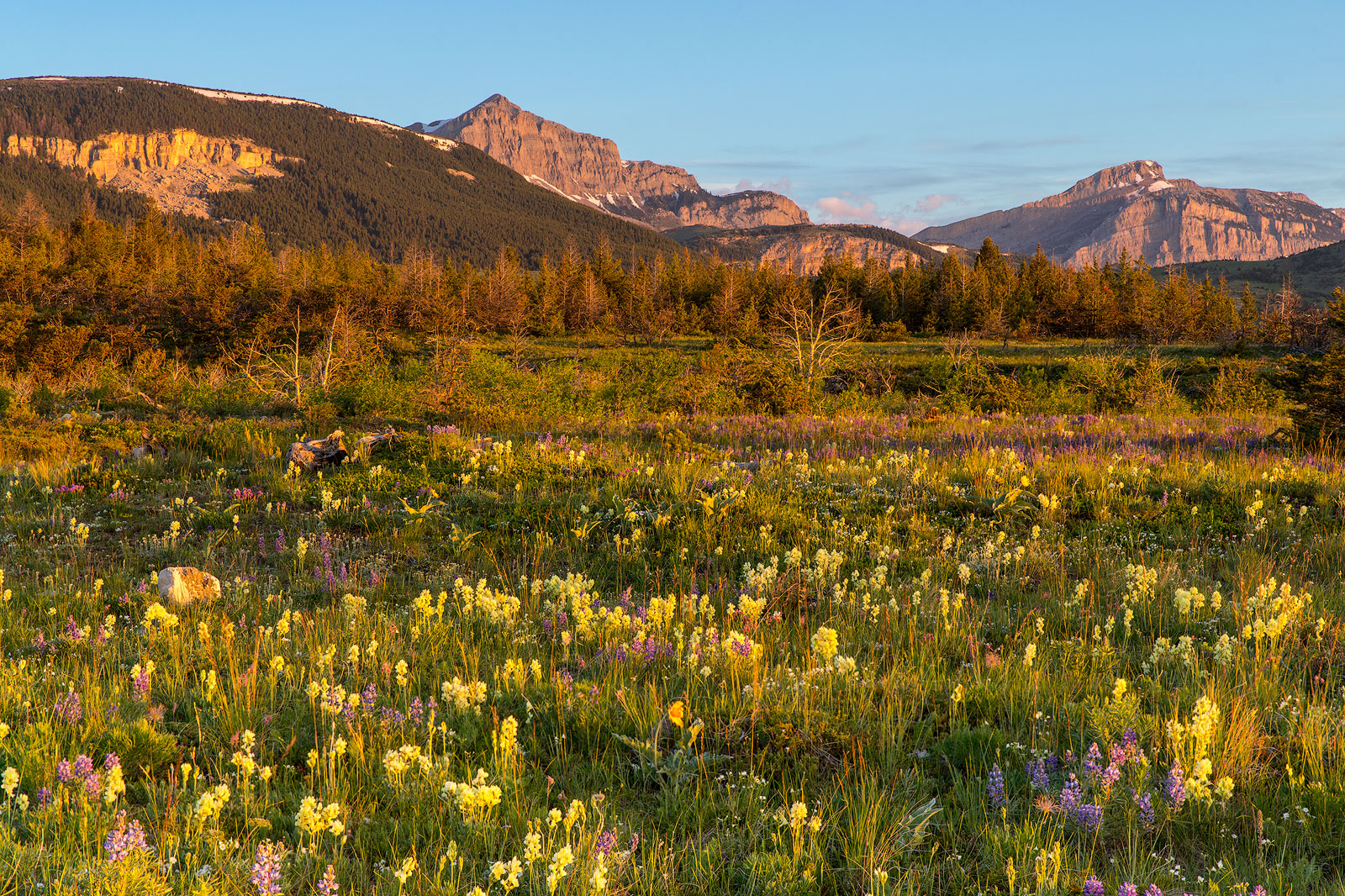 Rocky Mountain Front 2021 - Chuck Haney Outdoor Photography