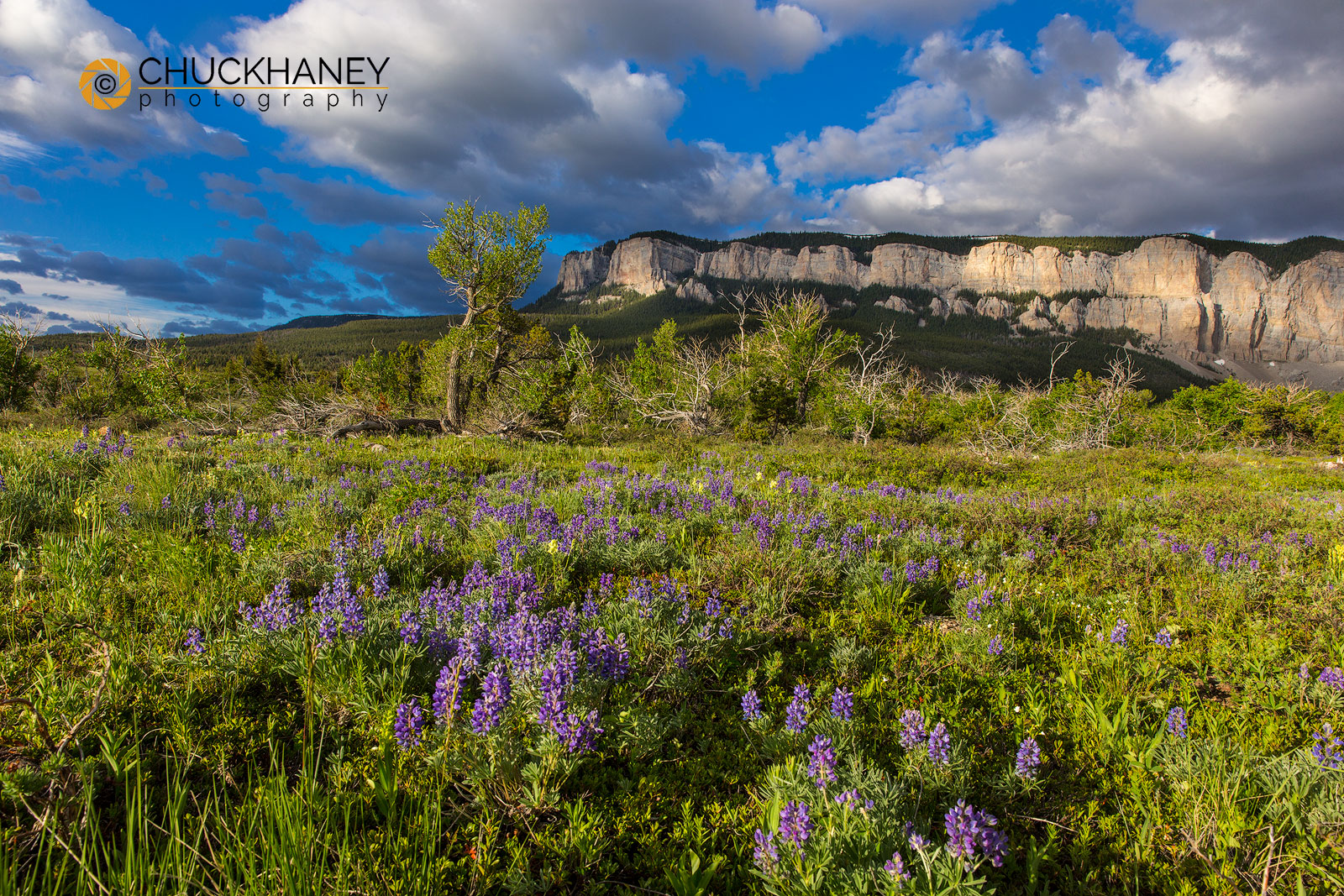 Rocky Mountain Front Montana Photography Tour and Workshop - Chuck ...