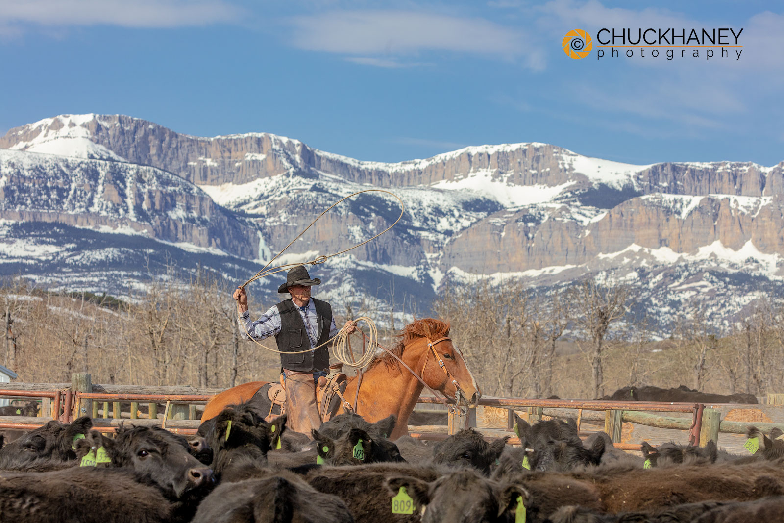 Rocky Mountain Front Montana Photography Tour and Workshop - Chuck ...