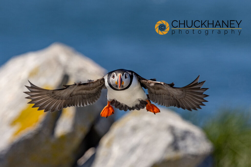 Chuck Haney Outdoor Photography Workshops and Photo Tours - Chuck Haney ...