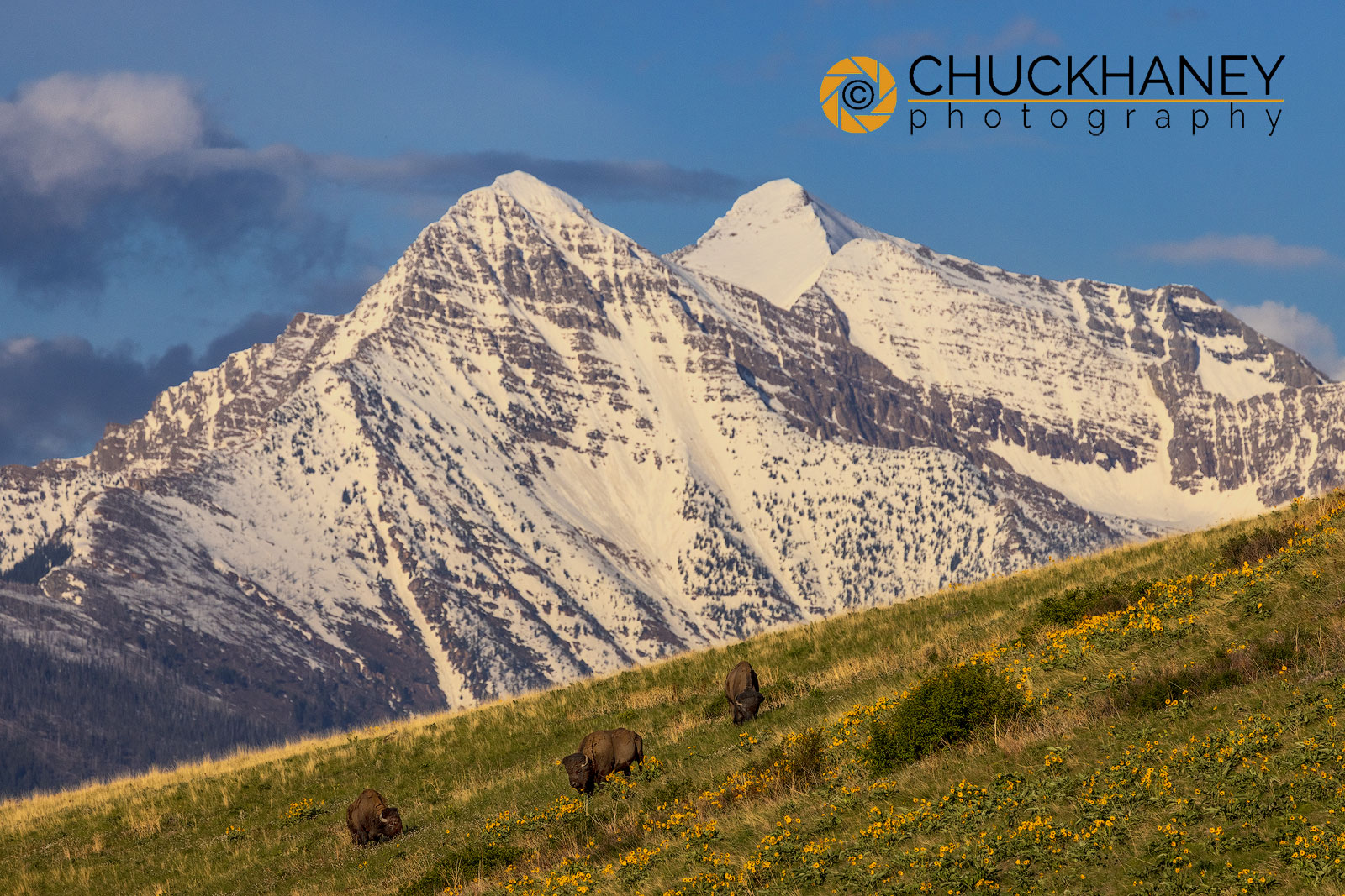 Mission Valley - Chuck Haney Outdoor Photography
